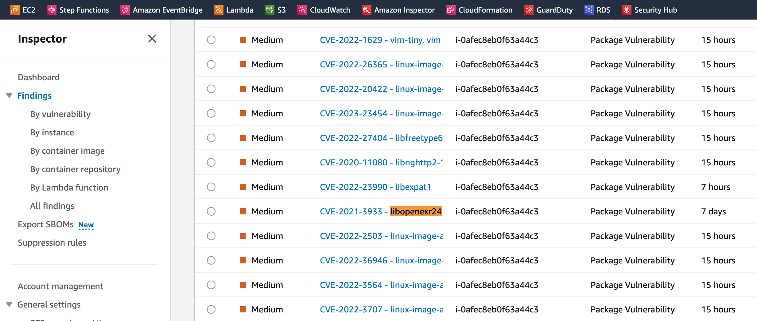 How to generate AWS Inspector 2 finding